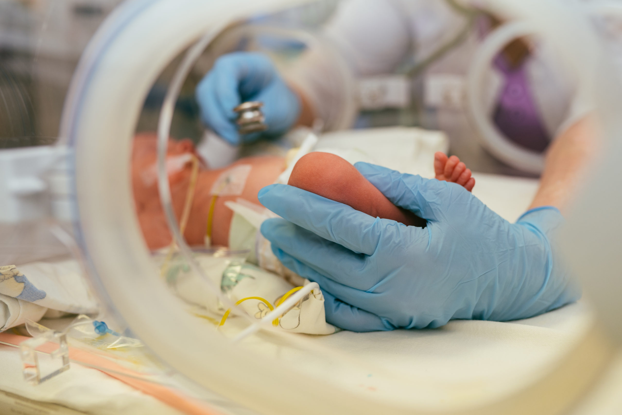 Maternity and Neonatal Safety Improvement Programme (MatNeoSIP) - HIWM